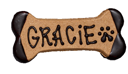 Warm Case - TDB - Houston Heights