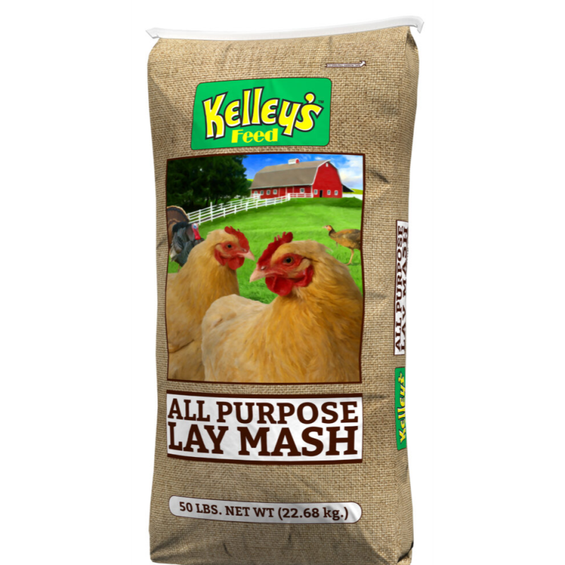 LAY MASH 16% 50LB - Elston Hay & Grain Ramona