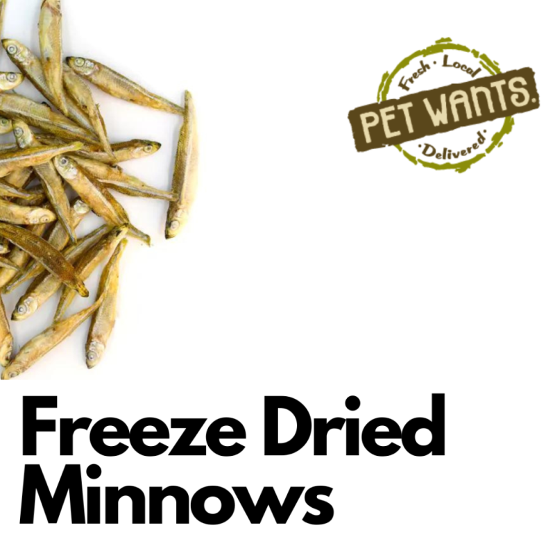 Freeze Dried Minnows - Pet Wants Jax Beach - Fresh Local Pet Food