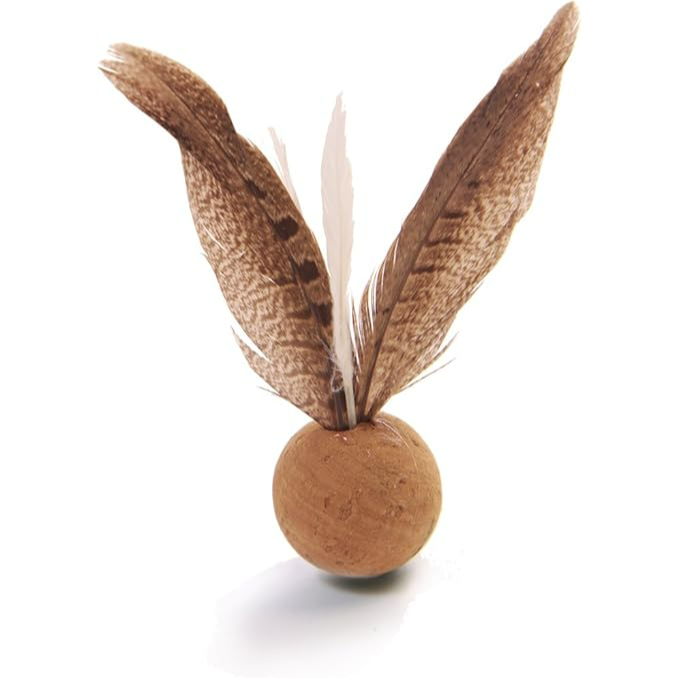 From The Field Oscar De La Bird - Pet Wants PortsmouthRI - Fresh Local ...